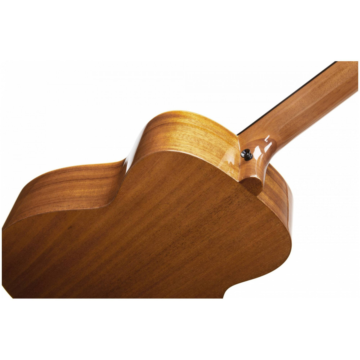 TOM GS-T1 акустическая гитара в уменьшенном корпусе, верхняя дека массив ели, корпус красное дер ...